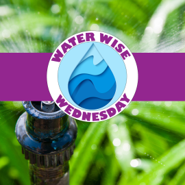 Sustainability | City of Rancho Cucamonga